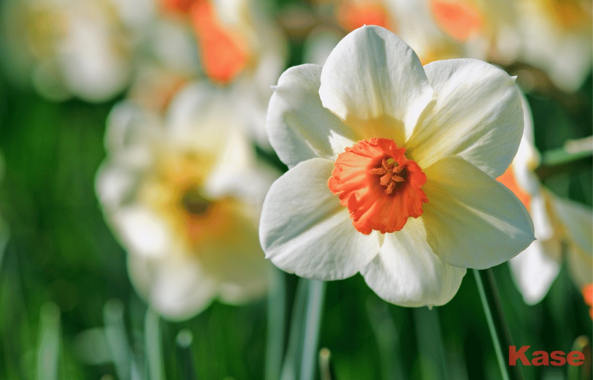 Taking portrait pictures with ND filters