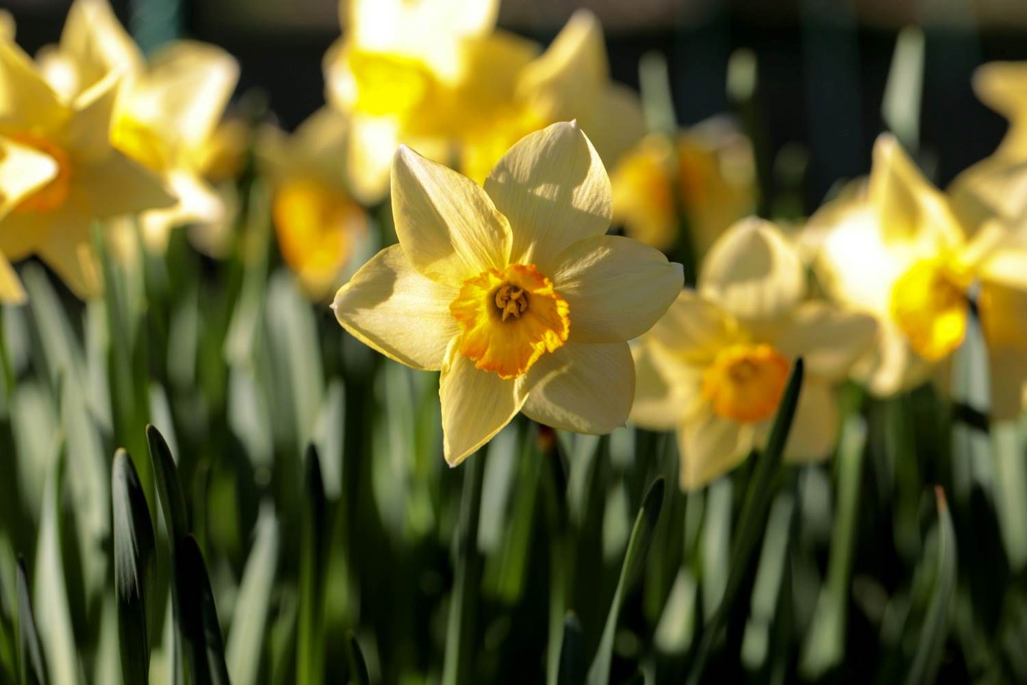 ND Filters Explained: Full Guide to Using ND Filters | Kase